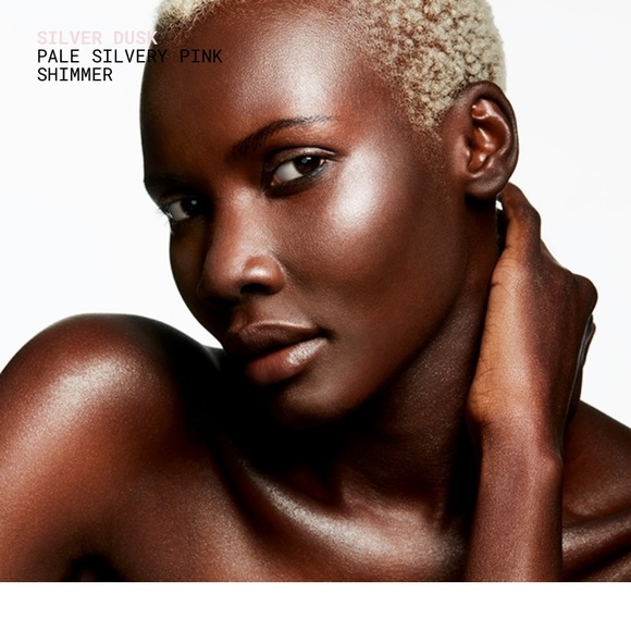 MAC Cosmetics | Makeup | Mac Silver Dusk Loose Shimmer Powder | Poshmark